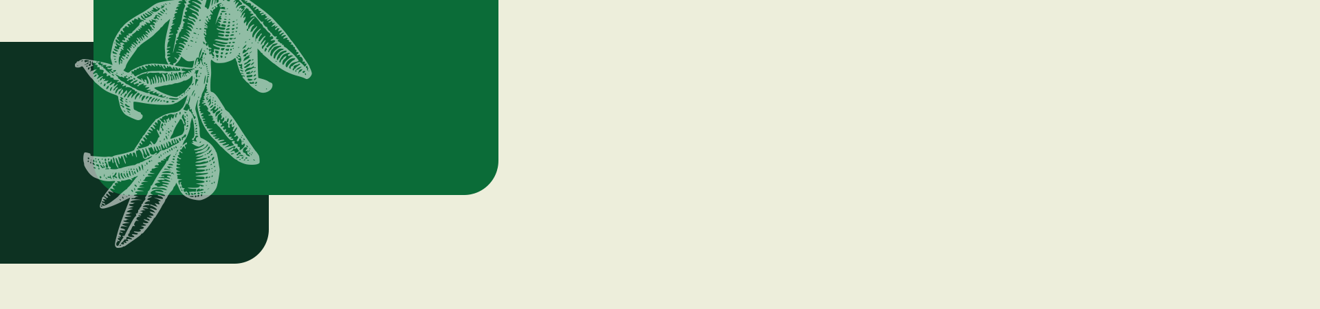 Extra virgin olive oil – Olio Fabbri